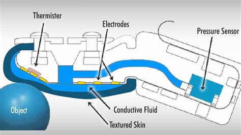 Overview Of Biotac Sensory Technology Youtube