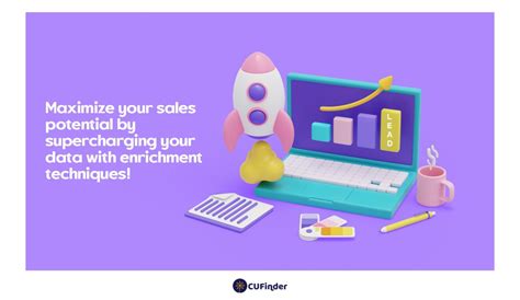 Exploring Data Enrichment Process Steps CUFinder