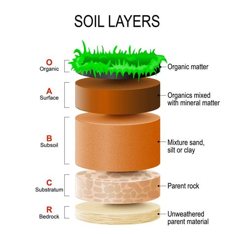 Everything You Need To Know About Loam Soil The Habitat
