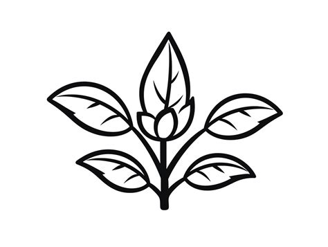 Botanical Blooms Coloring Coloring Page