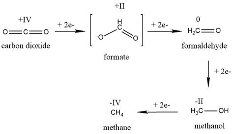Schematic Pathway Of Carbon Dioxide Reduction To C1 Compounds Download Scientific Diagram