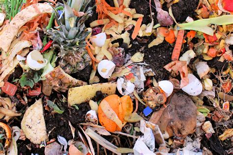 The 10 Best Methods Of Composting Explained Compared