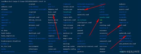 linux各目录及每个目录的详细介绍 usr local lib在哪 csdn博客