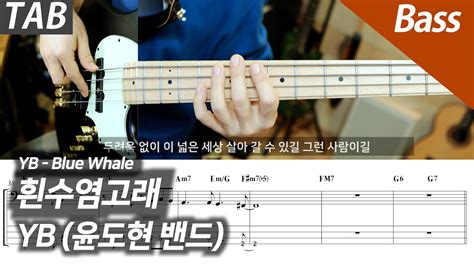 Yb 윤도현밴드 흰수염고래 베이스 커버 타브 악보 Youtube