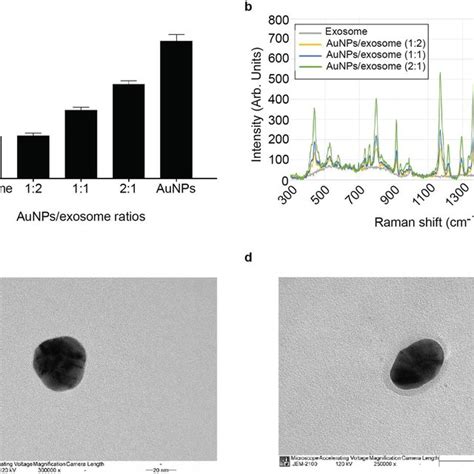 Schematic Representation Of Gold Nanoparticle Surface Functionalization