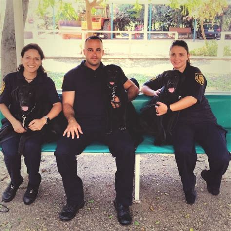 Undss On Linkedin Our Security Team In Lebanon Is Continually