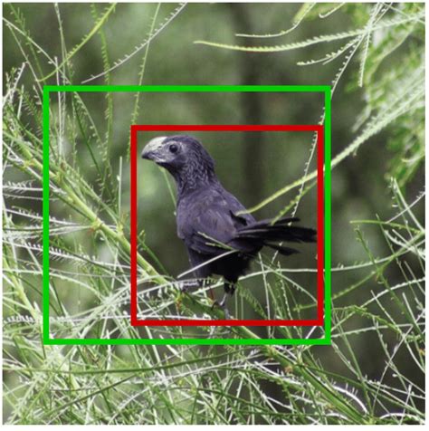 The Visualization Of Localization Results In Images Between