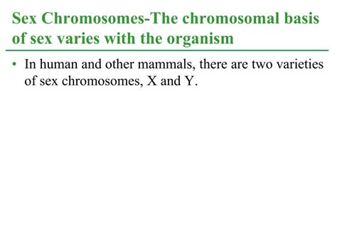 Ppt Chapter The Chromosomal Basis Of Inheritance Powerpoint Presentation Id