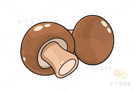 香菇画 金针菇画 大山谷图库