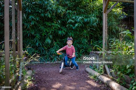 장난기 많은 유아 소년이 공공 공원에서 자전거를 타고 있습니다 세발자전거에 대한 스톡 사진 및 기타 이미지 세발자전거 아이 2 3 살 Istock