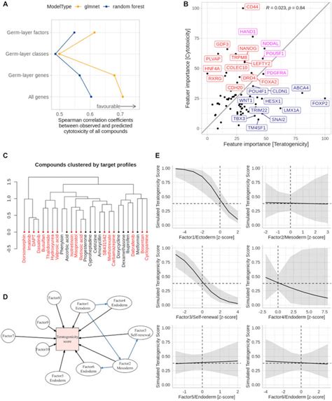 Biological Interpretation Of The Model A Prediction Of Cytotoxicity Download Scientific