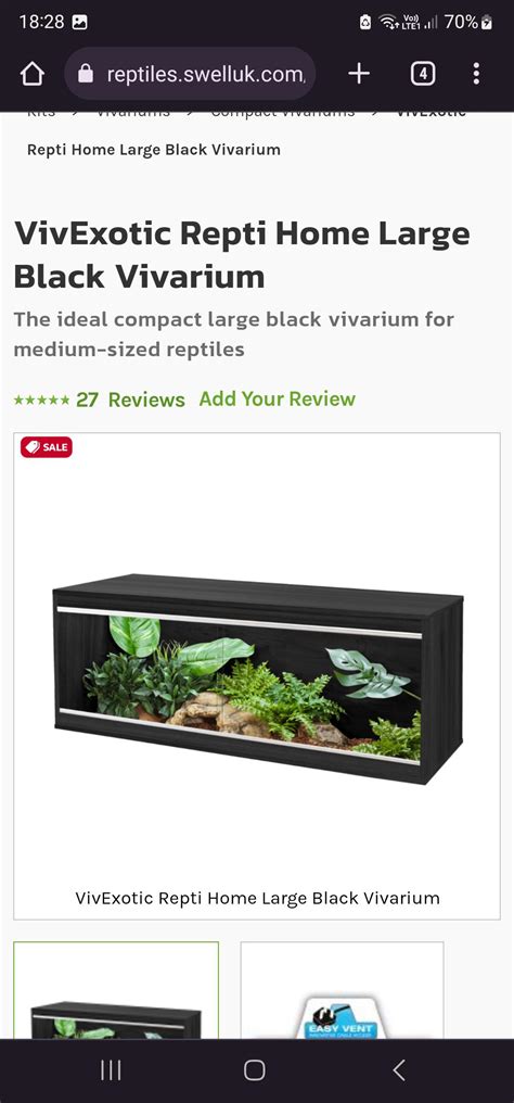 Vivarium Advice Rballpython