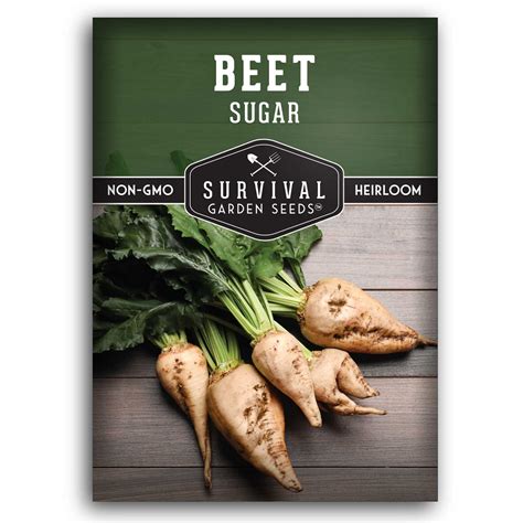 Heirloom Sugar Beet Seeds Non Gmo Survivalgardenseeds