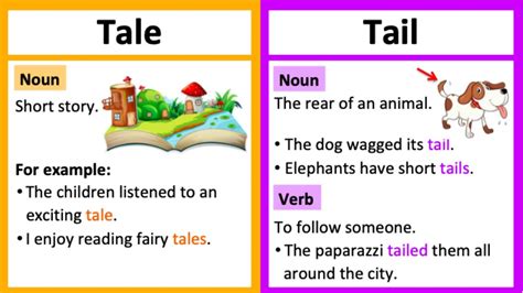 tale vs tail 🤔 what s the difference learn with examples youtube