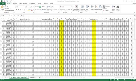 Data Tugas Akhir Anda Terorganisir Dan Terpercaya Layanan Tabulasi