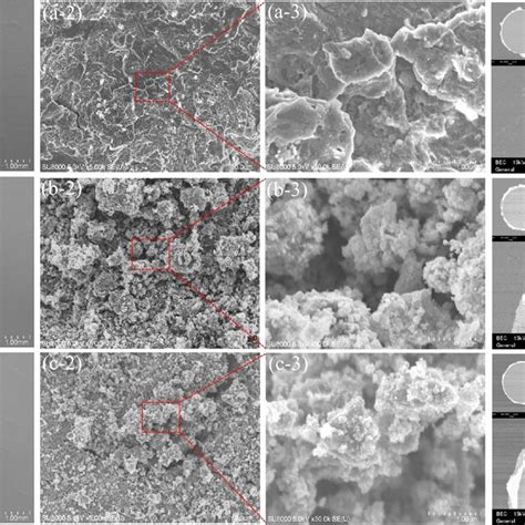 Sem Microstructures Of The Surfaces And Cross Sections Of The Samples