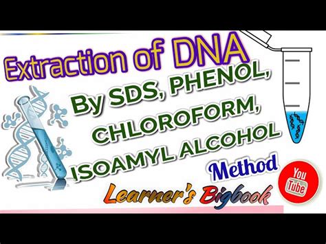Dna Extraction By Sds Method Phenol Chloroform Mixture 54 Off