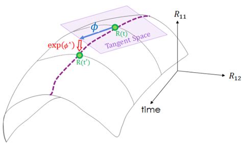 Lie Group And Lie Algebra Jays Domain
