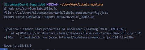 Por qué variable de entorno en Vite al importar import meta env sólo