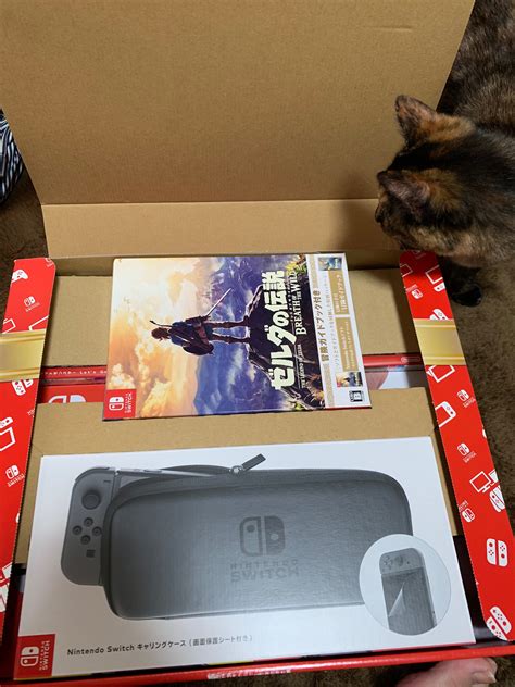 私にゼルダのアドバイスをお願いします！