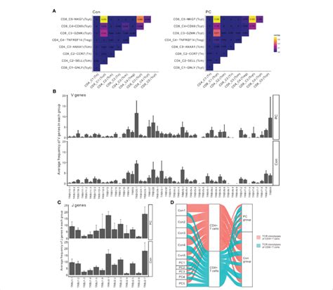 interactions between t cell clusters and shared tcr clonotypes in pdac