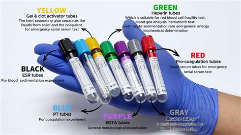 The Meaning Of Blood Collection Tube Color 🥰 ️ Youtube