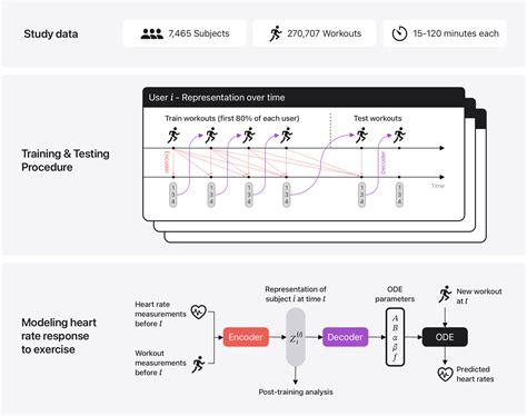 Personalizing Health And Fitness With Hybrid Modeling Apple Machine Learning Research