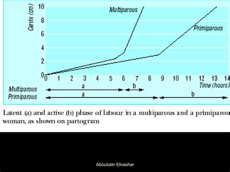 Dysfunctional Labor Pdf