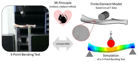 Bioengineering Free Full Text Contribution To The 3r Principle