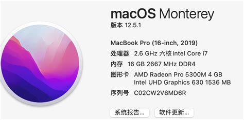 Bug Blurry On M1 Mac With Hidpi · Issue 576 · Allendanggiu · Github