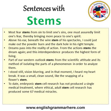 Sentences With Letter A Letter A In A Sentence In English Sentences For Letter A English