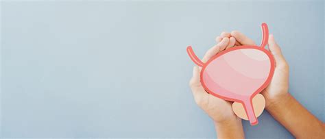 Bladder Issues In Women Causes And Prevention Tips