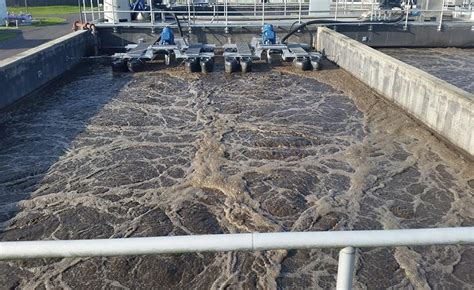 The Difference Between Cationic Polyacrylamide And Anionic