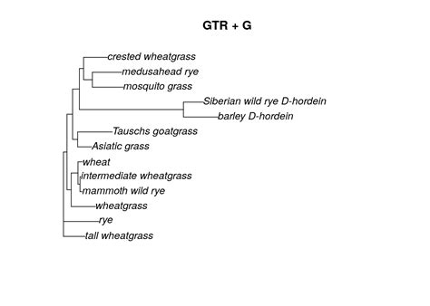 Chapter 18 Estimating A Tree Using Maximum Likelihood Molecular