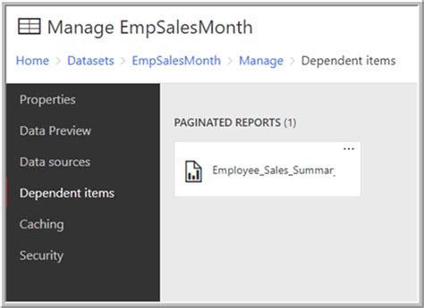 Sql Server Reporting Services Ssrs 2017 Data Sets