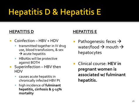 Ppt Viral Hepatitis Powerpoint Presentation Free Download Id 1966842
