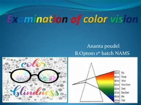 Otdr Testing Services At ₹ 4500piece Patel Nagar New Delhi Id