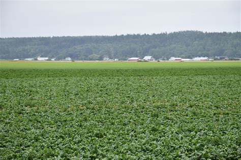Wsda Agbriefs Wsda Accepting Proposals For Specialty Crop Grants