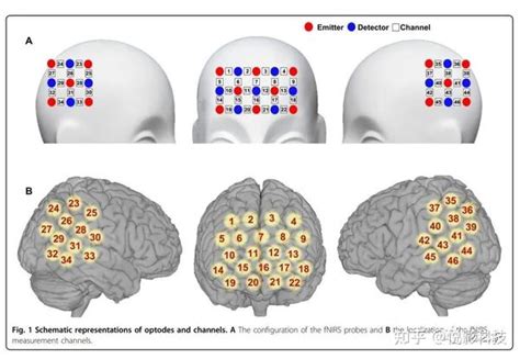 皮层网络内在组织预测状态焦虑：一项fnirs研究 知乎