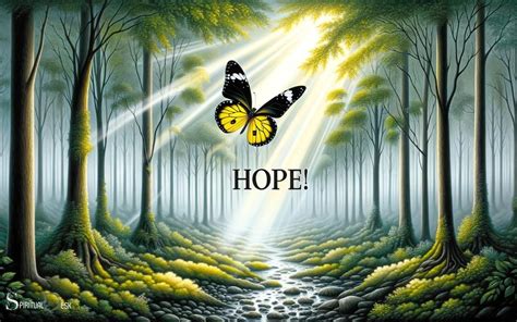 Spiritual Meaning Of Black And Yellow Butterfly Hope