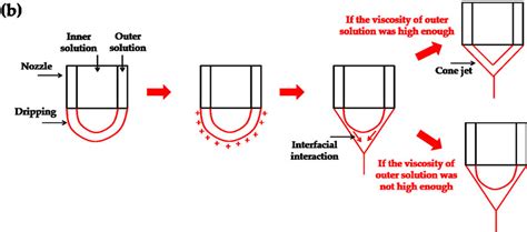 The Formation Process Of Cone Jet In Coaxial Electrospraying For Inner Download Scientific