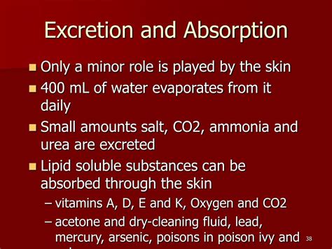 Ppt Chapter 5 The Integumentary System Powerpoint Presentation Free