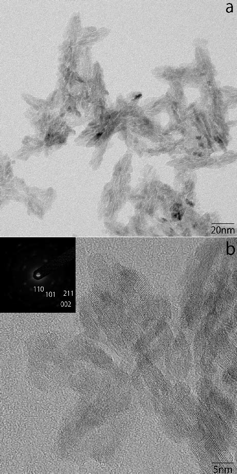 Tem Micrographs Of A B Rutile Tio2 Particles Prepared For 48 H And