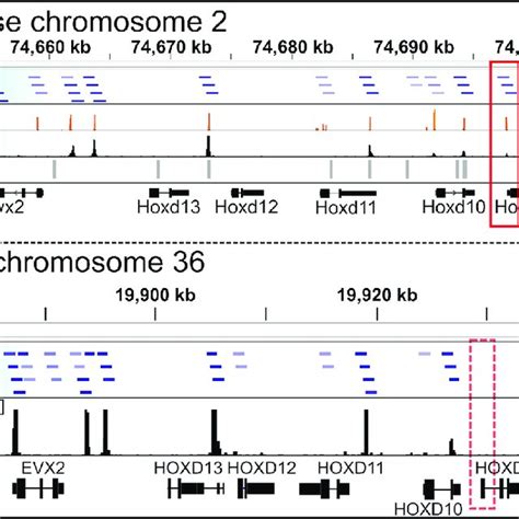 A Performance Comparison Between Models Download Scientific Diagram