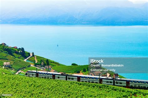 호수 제네바 알프스에서 포도 원 테라스 Lavaux에서 훈련 0명에 대한 스톡 사진 및 기타 이미지 0명 Unesco