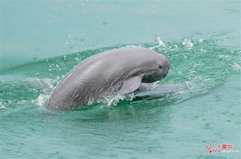 世界环境日 擦亮生态底色 绘就“绿色画卷” 光明网