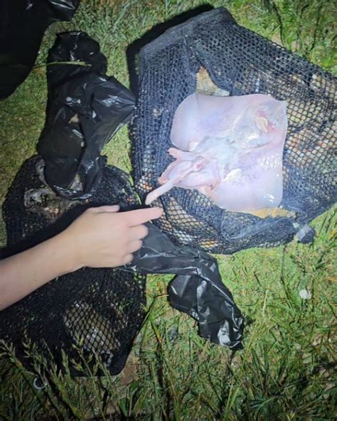 차박헌터 남편이 드라마보다 등짝 스매싱 맞은 이유 해삼 살짝 데쳐서 먹는다는게 드라마가 너무 잼있어서 몰입했나봐요 ㅜㅜ 천국보다 아름다운 웨캐 잼이써여 내인생의로또