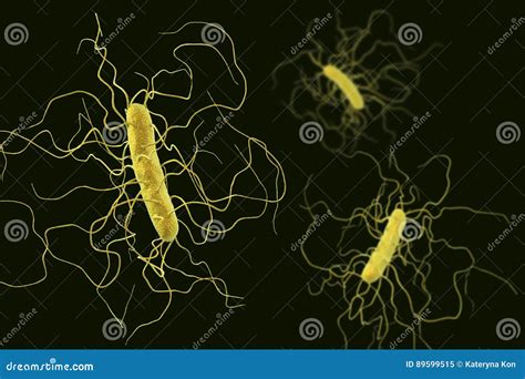 Clostridium Difficile Bacteria 360 Degree Spherical Panorama View Royalty Free Cartoon