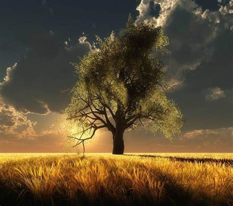 Tree Of Life Blank Template Imgflip