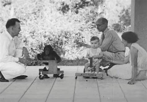 Cho Con Trai V Tinh Tinh N Ng C Ng Nhau Th Ng Sau C P I Ph I Cho D Ng G P Th Nghi M